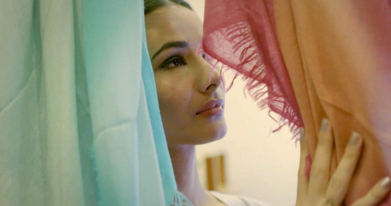 Chyangra Pashmina : Cashmere Highest Grade Products | Cashmere Highest ...